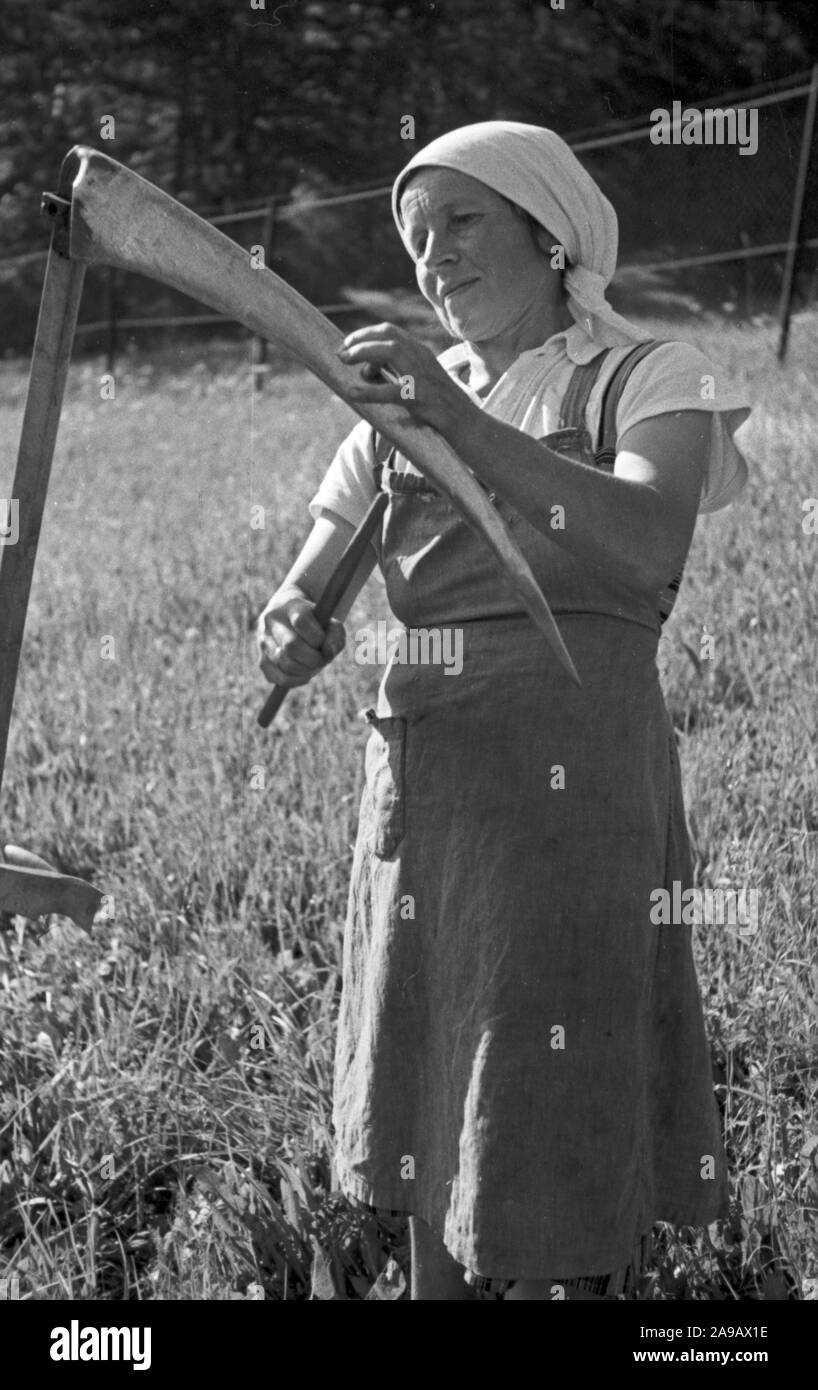 A farm woman sharpening the blade of her scythe, Germany 1940s Stock ...
