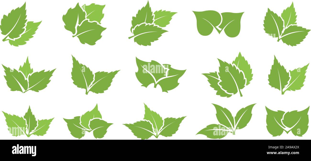 Green leaf set Stock Vector Image & Art - Alamy