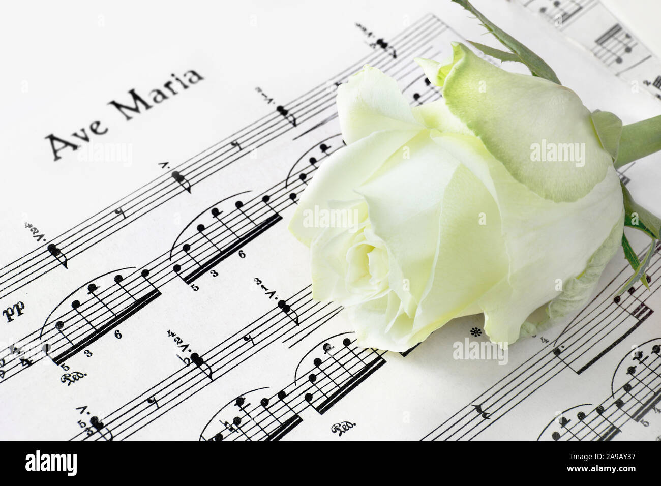 Labeling notes hi-res stock photography and images - Alamy