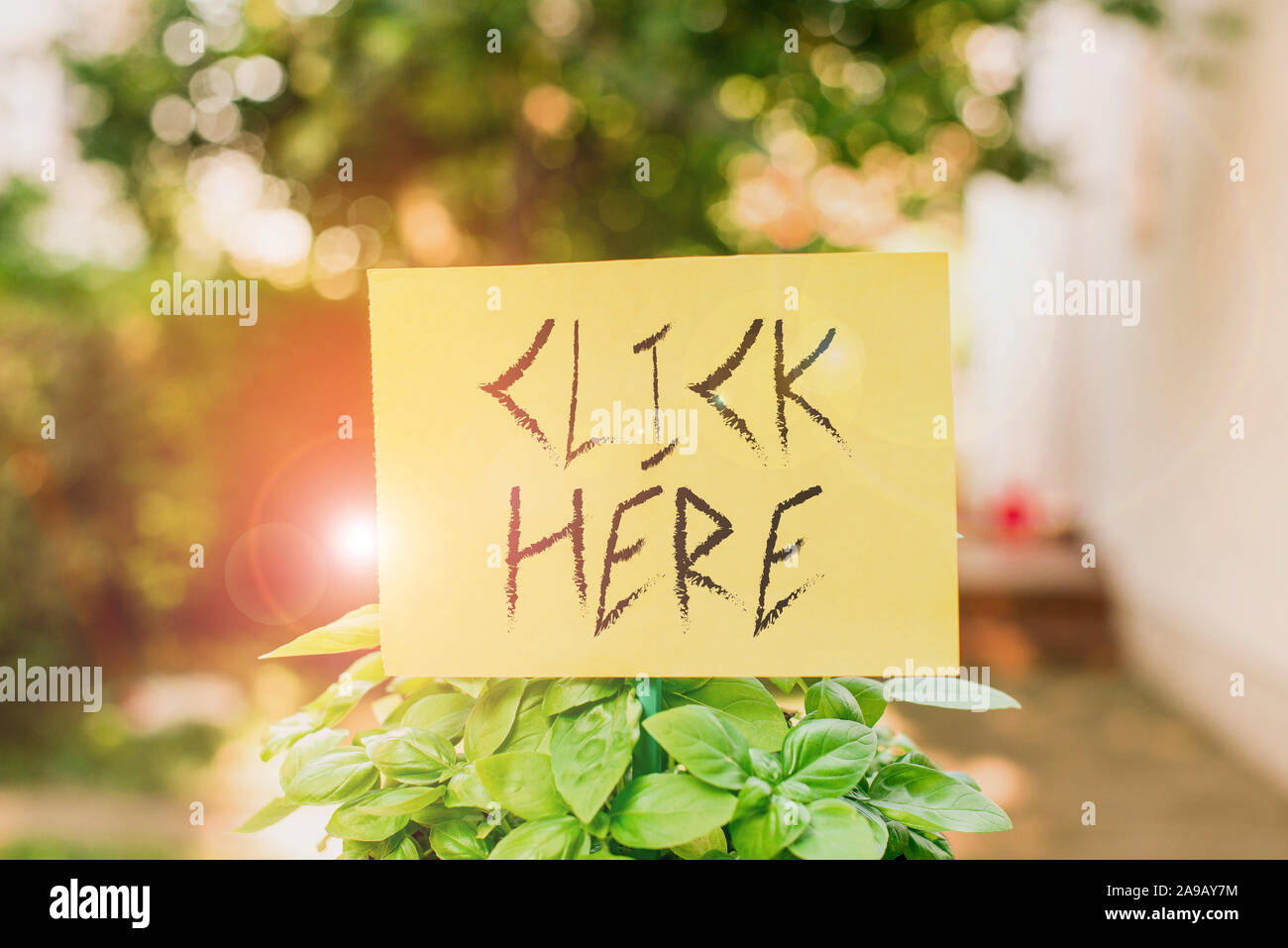 Handwriting text writing Click Here. Conceptual photo carry out a ...