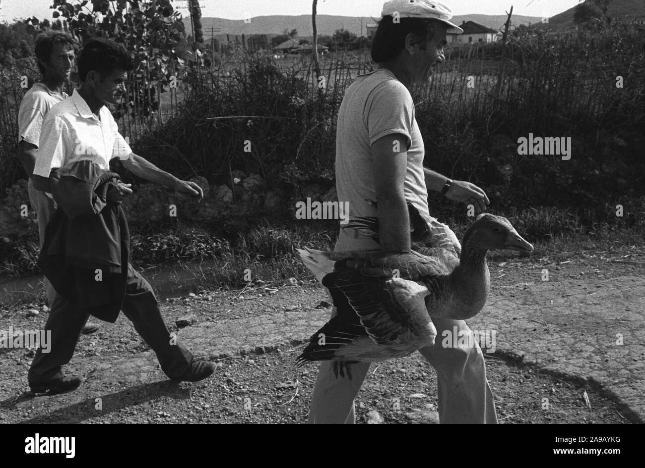 Bushati hi-res stock photography and images - Alamy