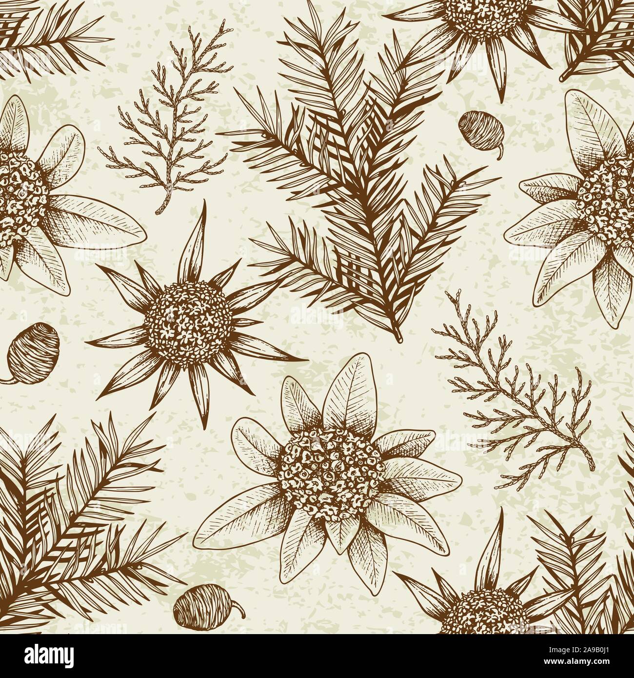 Vintage winter seamless pattern with evergreen plants and flowers ...