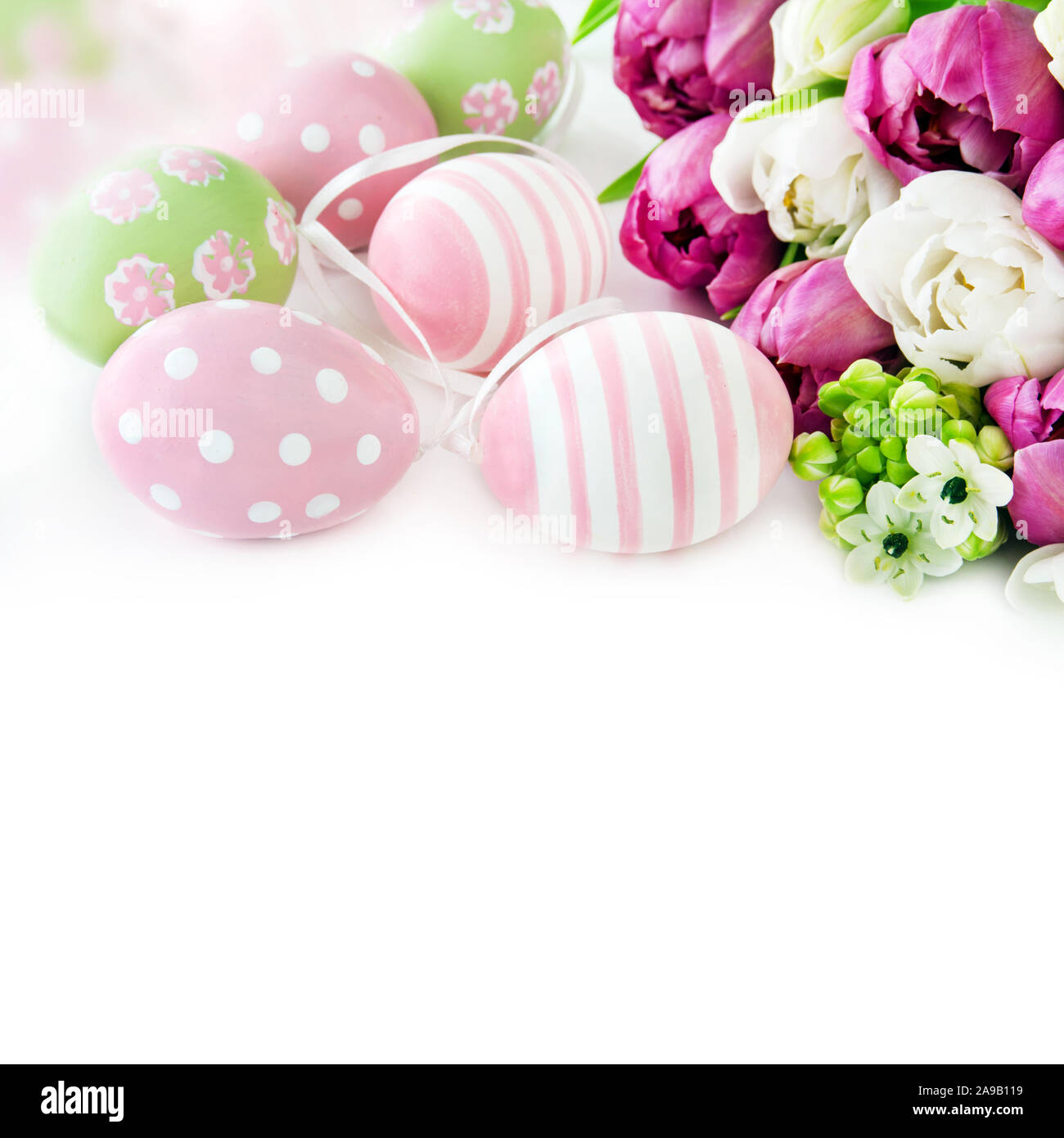 Easter eggs and tulips against white background Stock Photo - Alamy