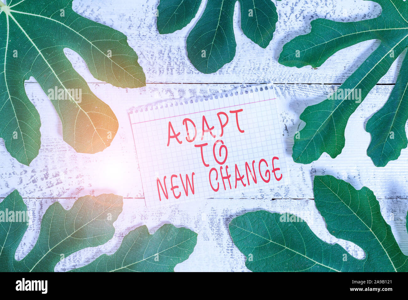 Word writing text Adapt To New Change. Business photo showcasing Get ...