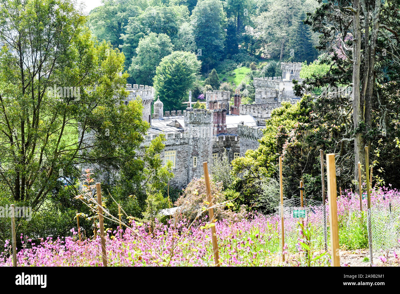 Caerhays gardens hi-res stock photography and images - Alamy