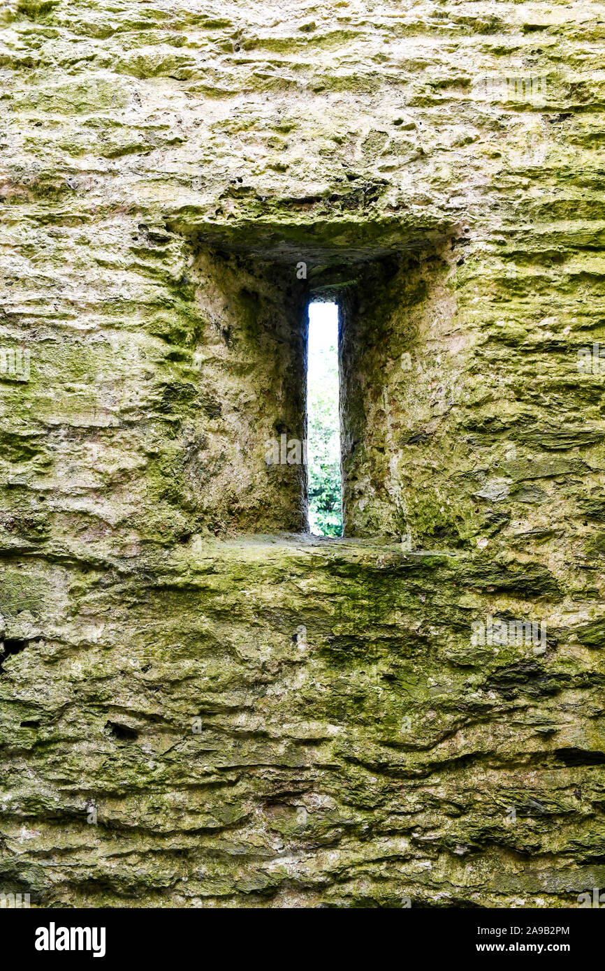 Caerhays castle gardens hi-res stock photography and images - Alamy