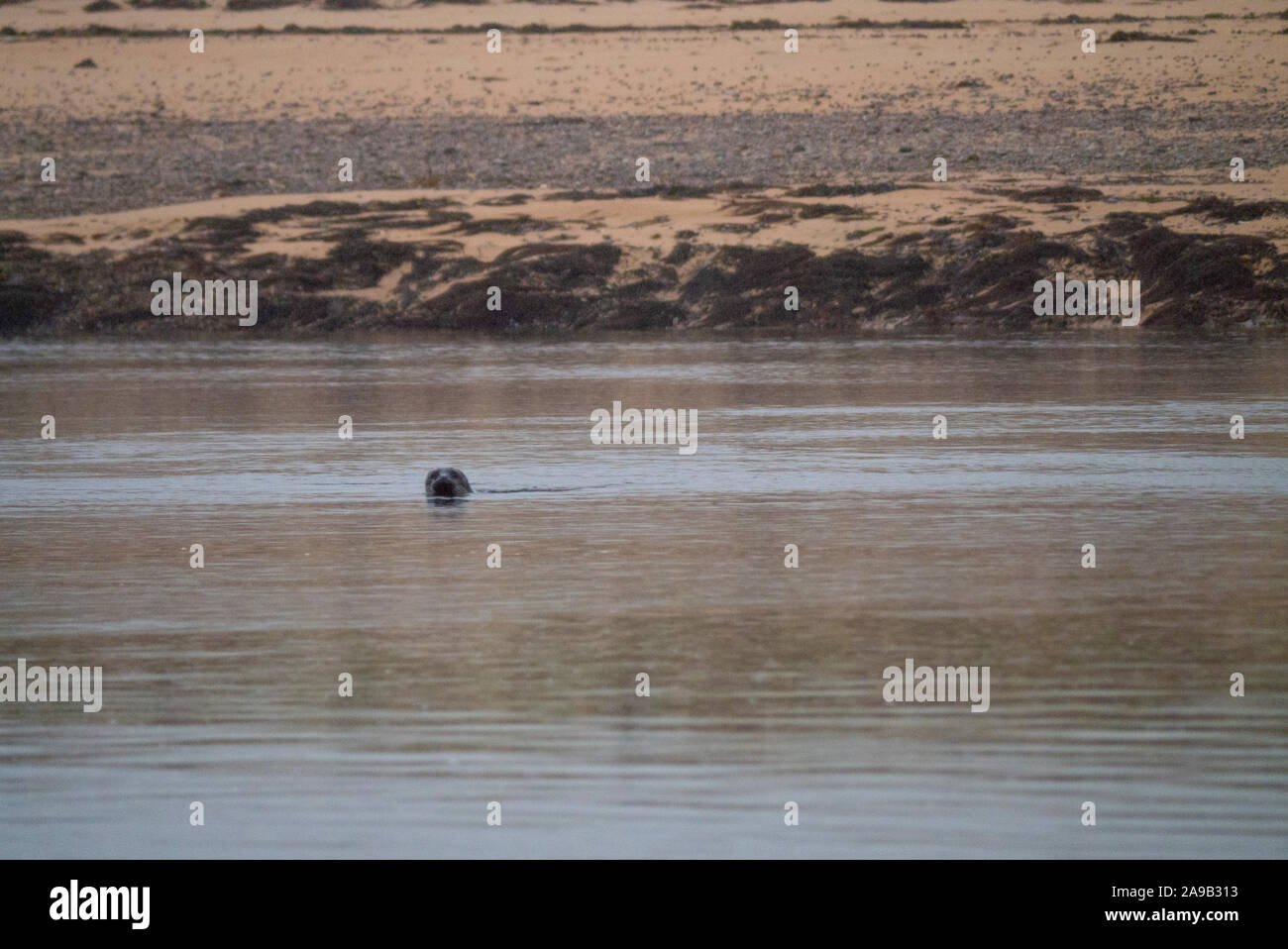 Coul Links Scotland UK Stock Photo - Alamy