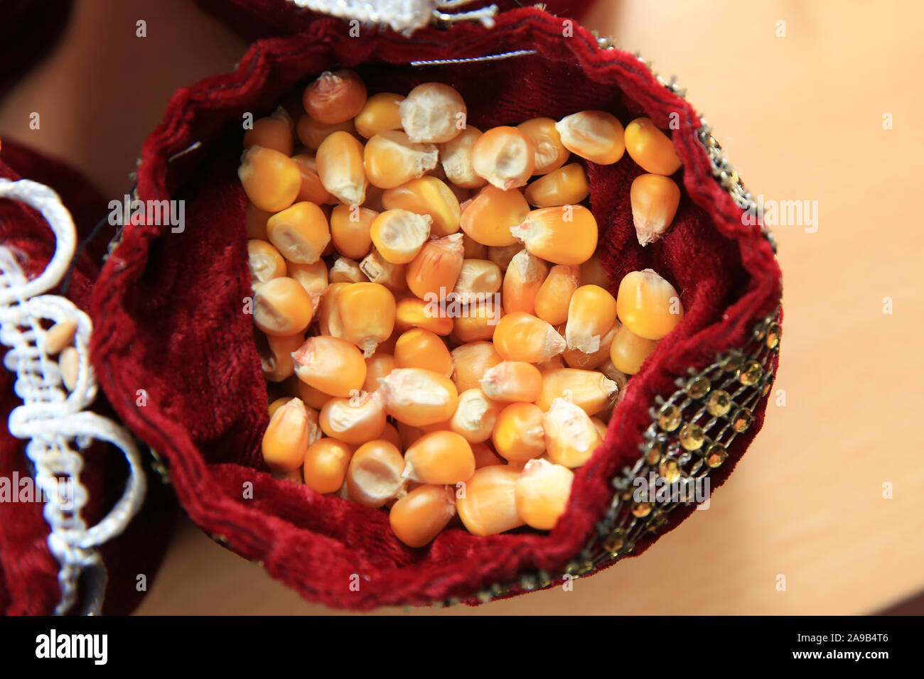 corn seeds . Corn seeds in burlap . Close up dry corn kernels in hemp ...