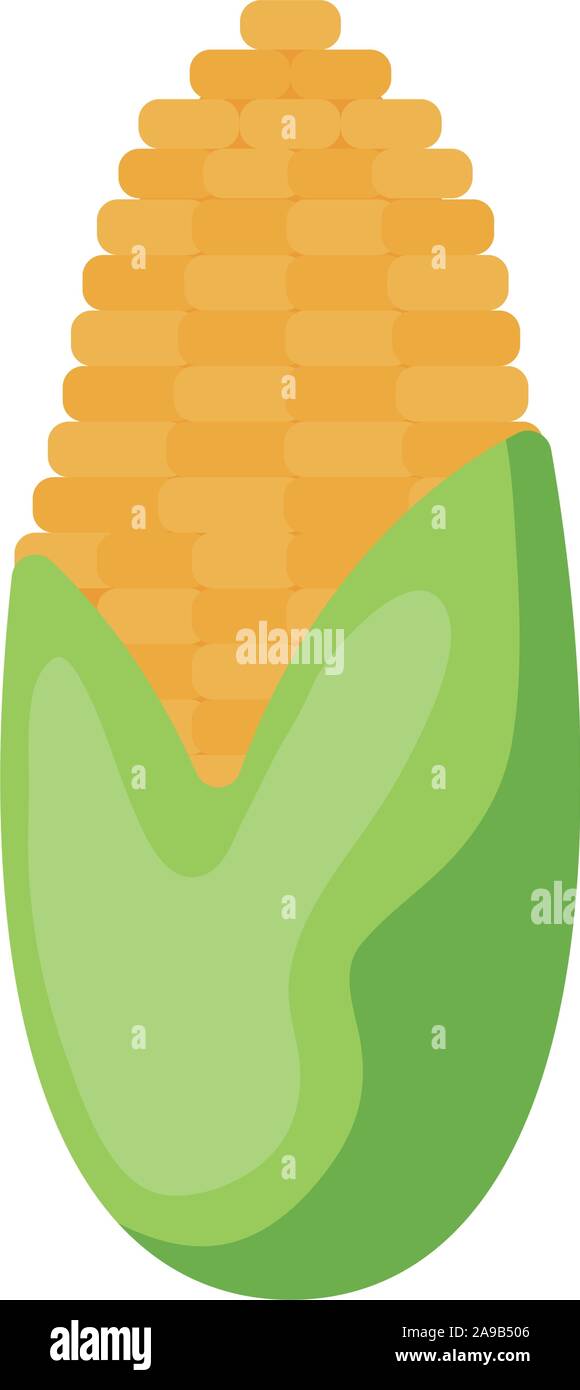 sweet corn in white background vector illustration design Stock Vector ...