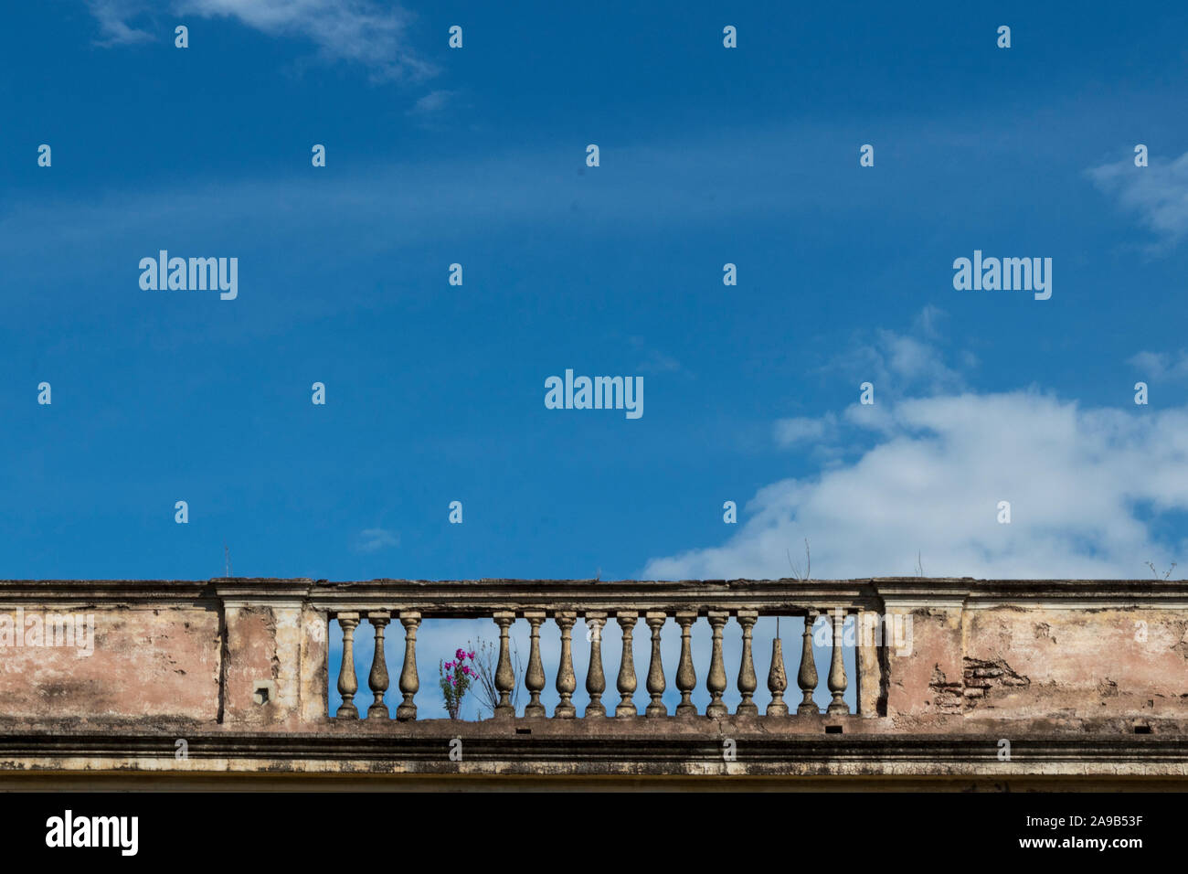 Plants take over. nature reclaims abandoned buildings bright blue sky ...