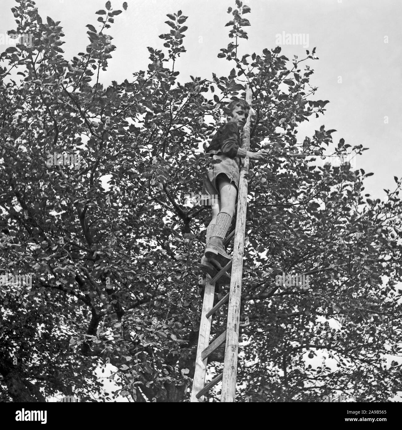Family harvesting Black and White Stock Photos & Images - Alamy