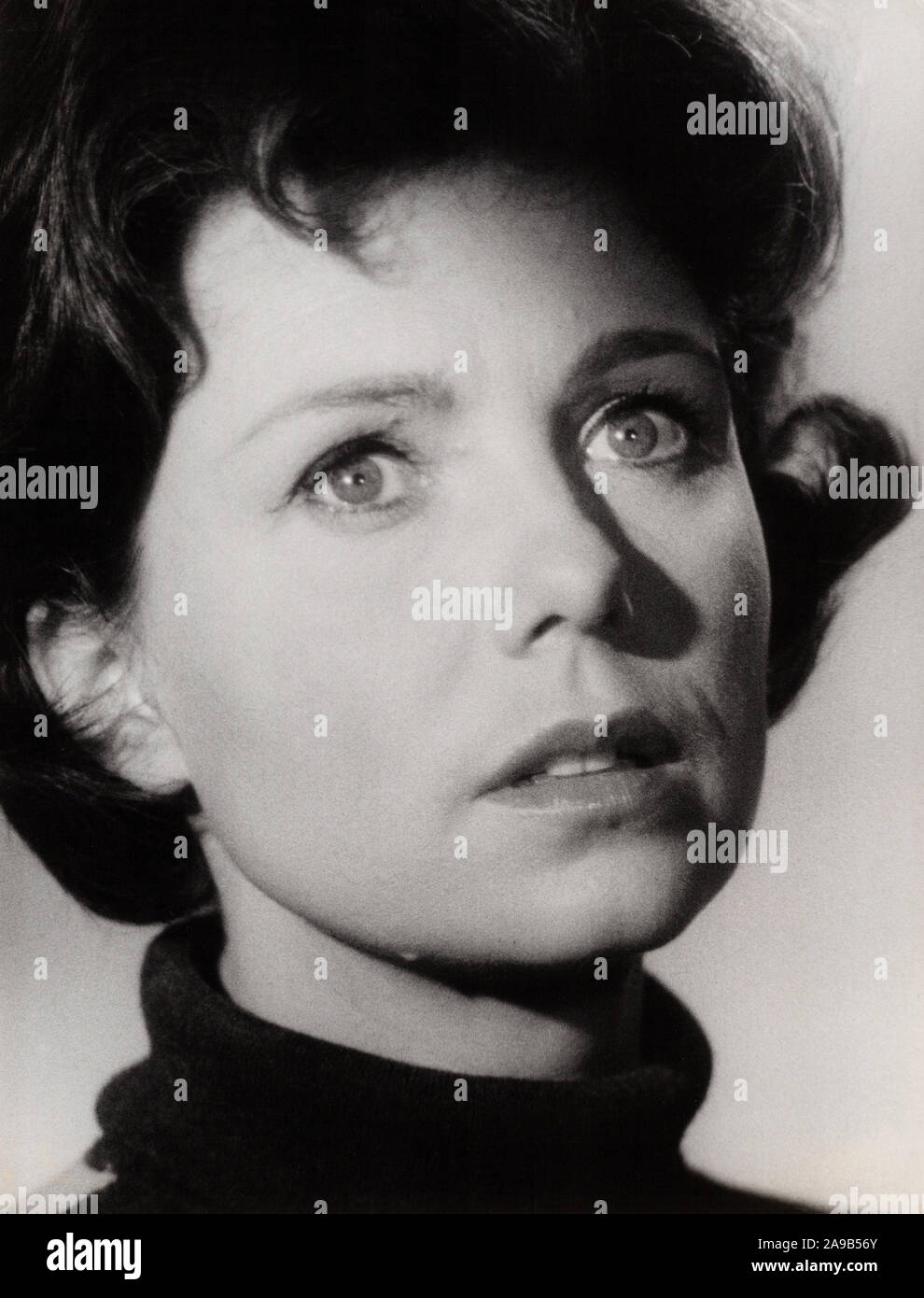 Gardy granass hi-res stock photography and images - Alamy