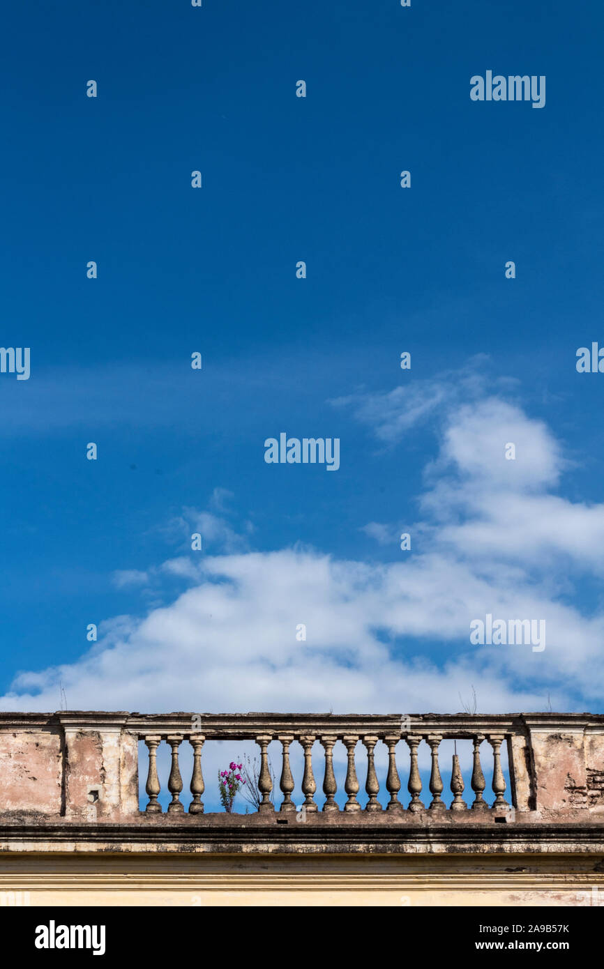 Plants take over. nature reclaims abandoned buildings bright blue sky ...
