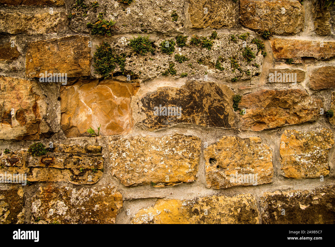 Medieval wall of a castle in Germany Stock Photo - Alamy