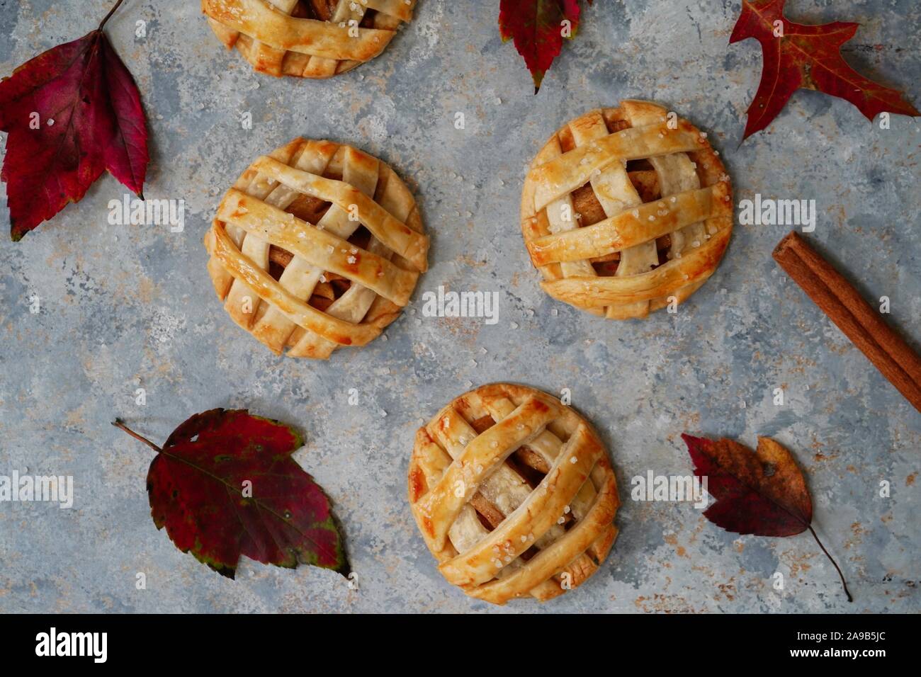 Homemade Apple pie lattice cookies overhead view / Thanksgiving ...