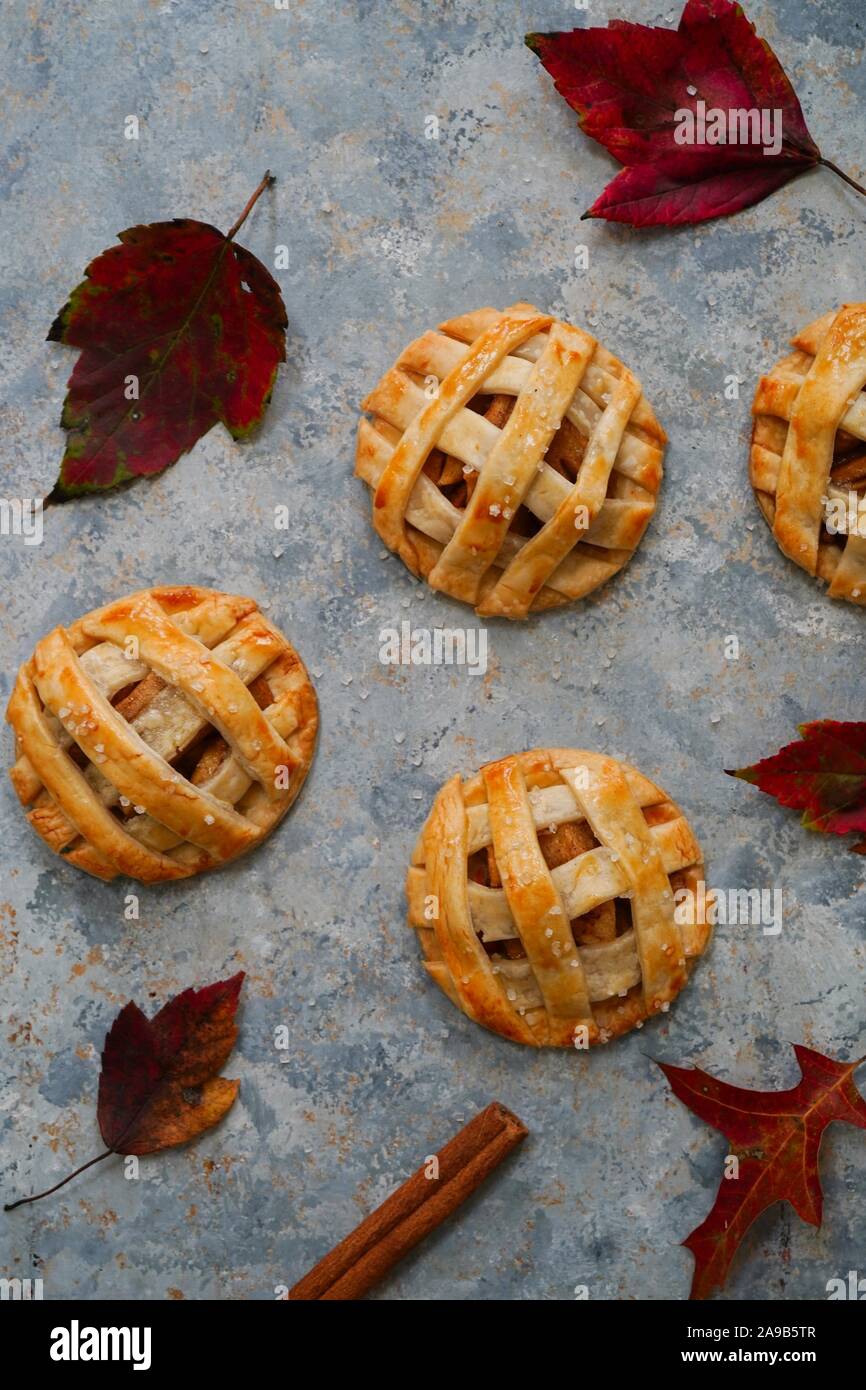 Homemade Apple pie lattice cookies overhead view / Thanksgiving ...