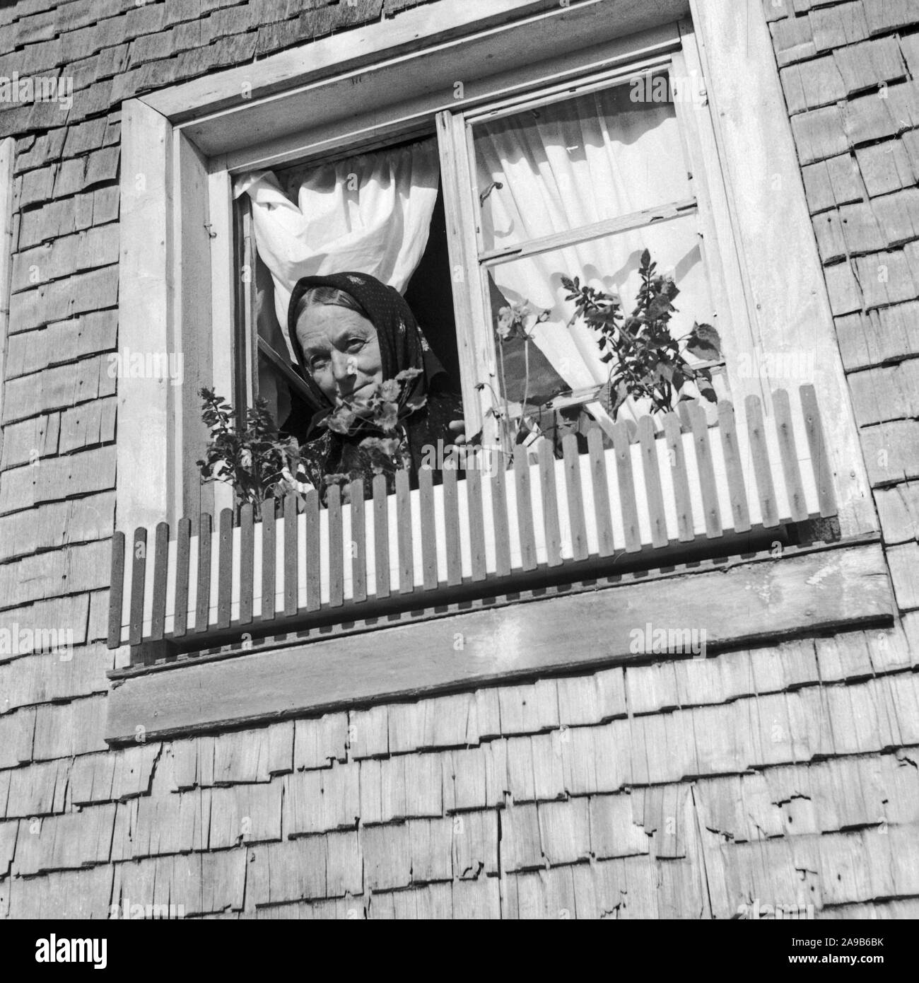 An elder woman watching out of her window to see the neighbourhood ...