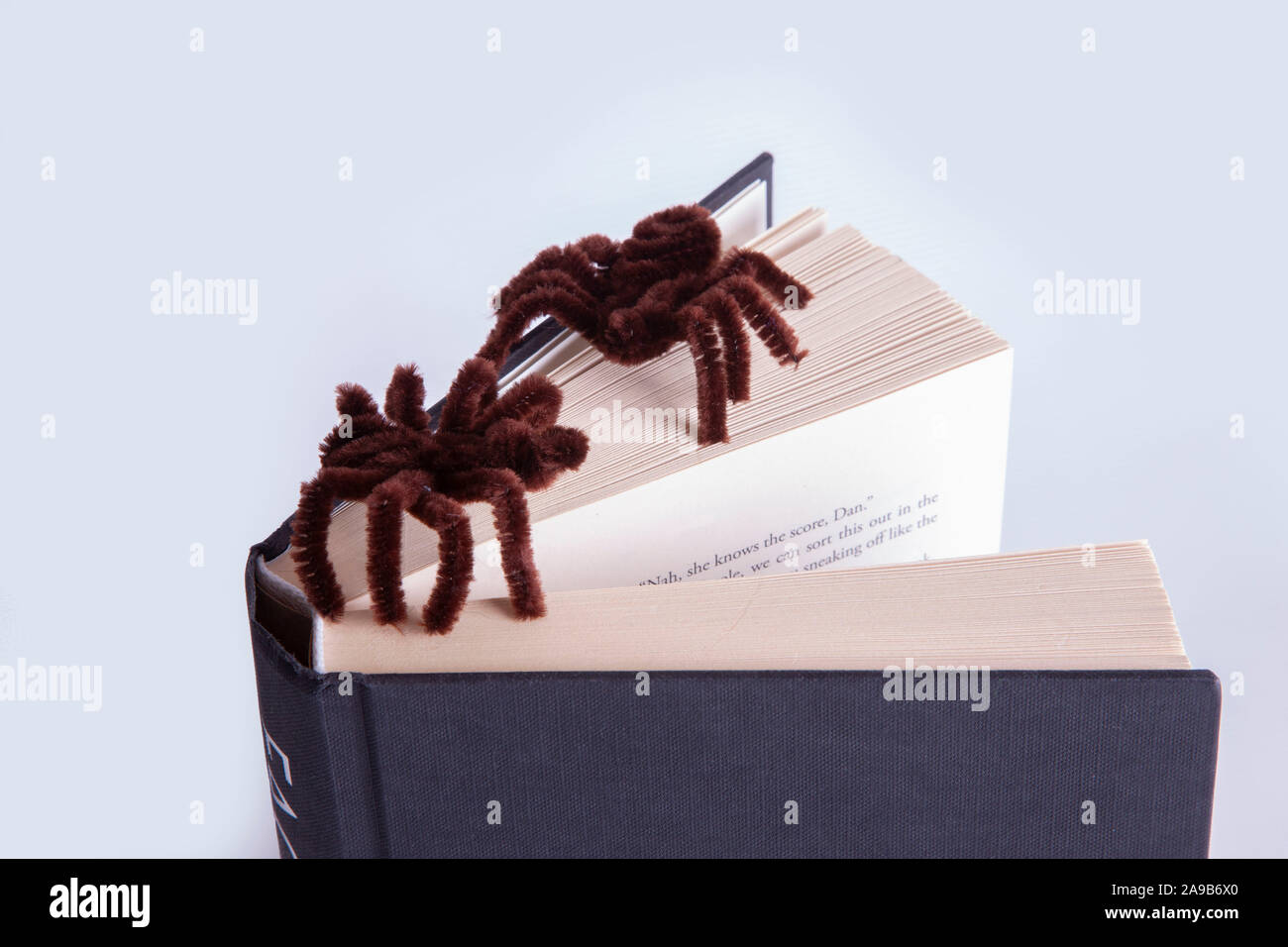 Pipe cleaner animal hi-res stock photography and images - Alamy
