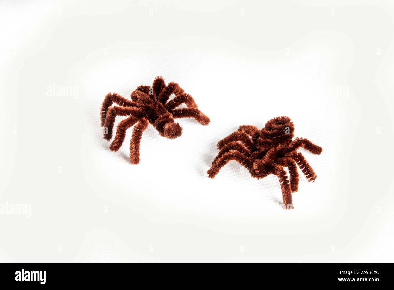 Pipe cleaner animal hi-res stock photography and images - Alamy