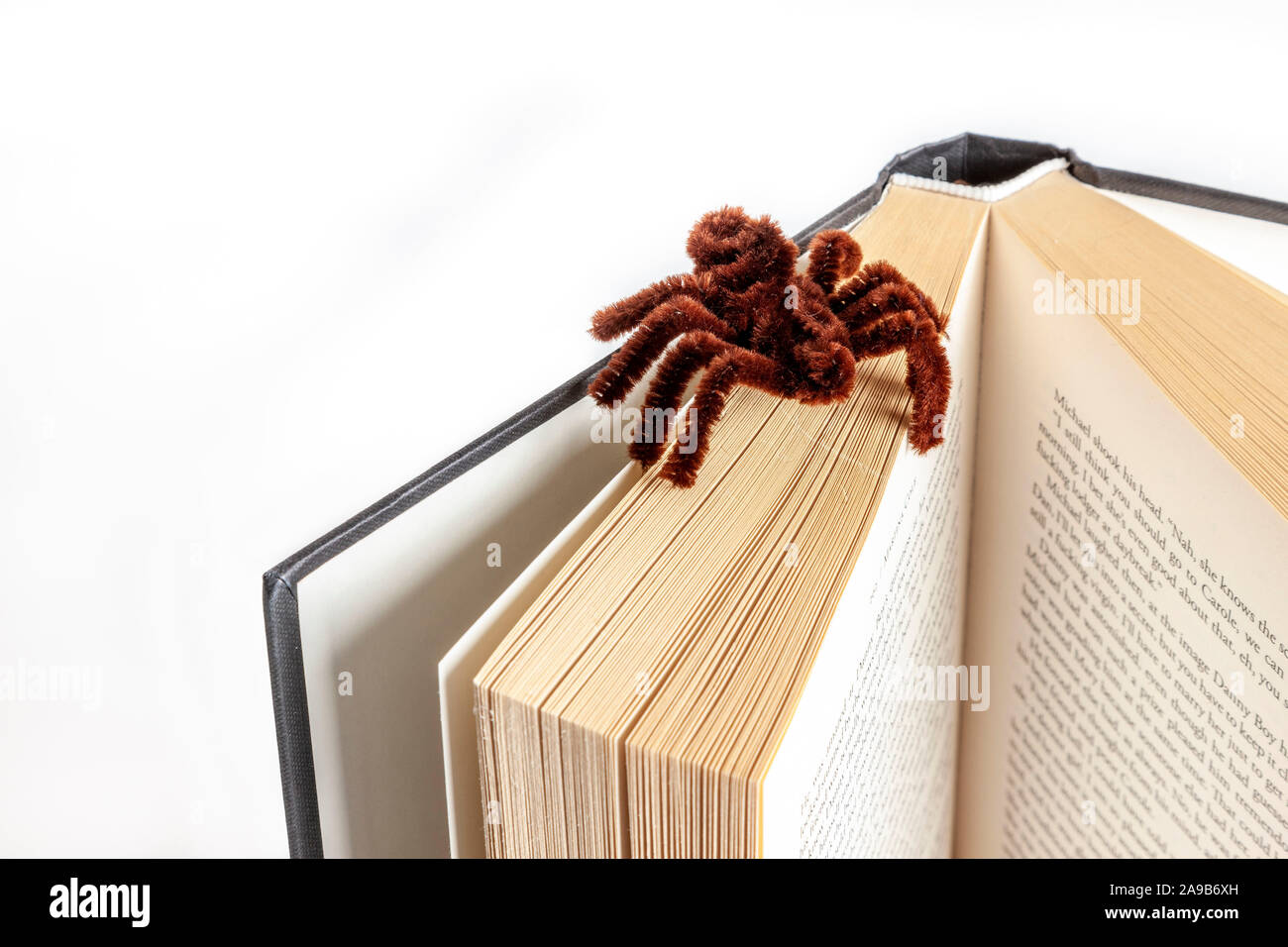 Pipe cleaner animal, stickmen spiders on a apen book Stock Photo - Alamy