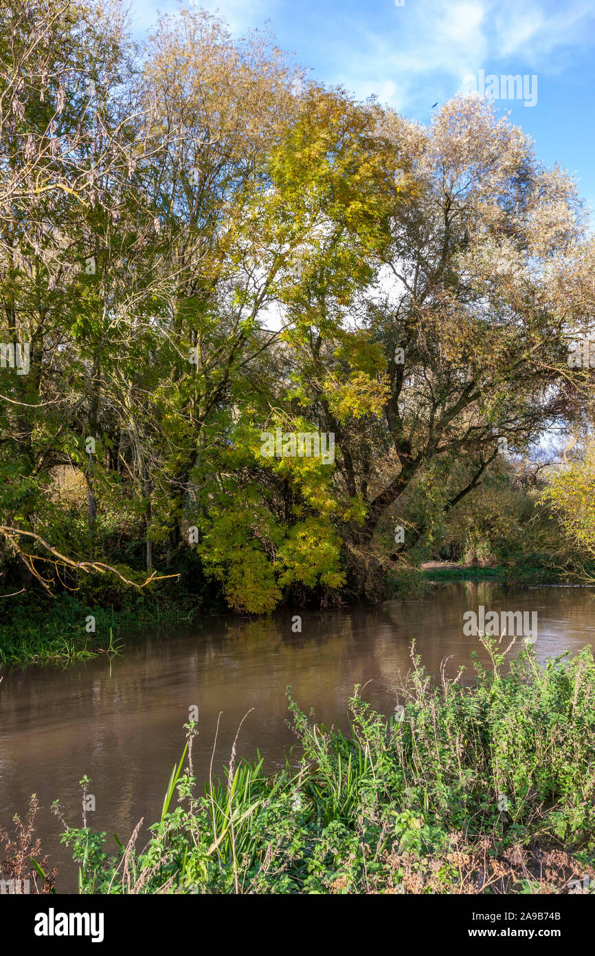 River nene flood warning hi-res stock photography and images - Alamy