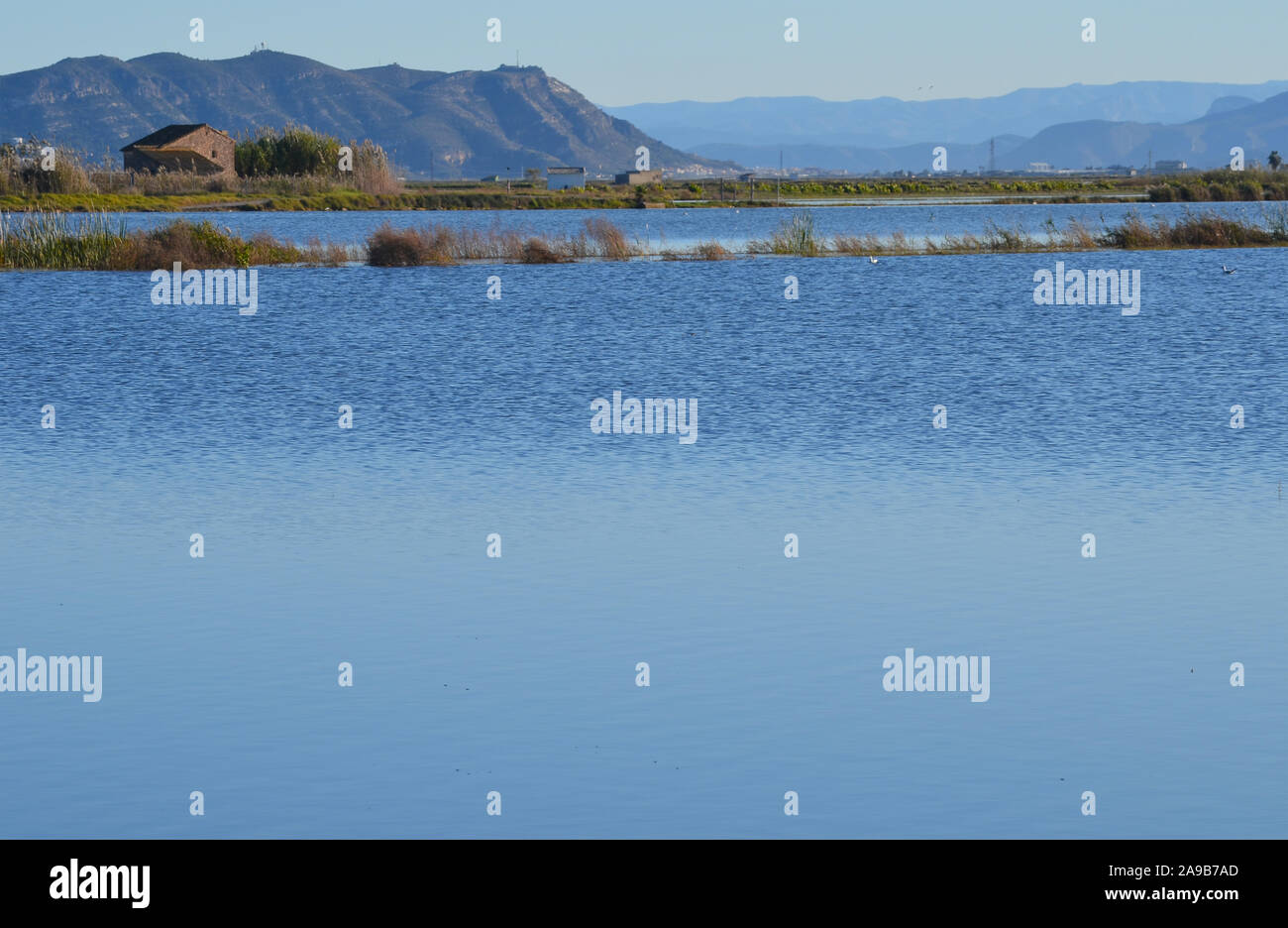 The Albufera natural park, a wetland of international importance in ...
