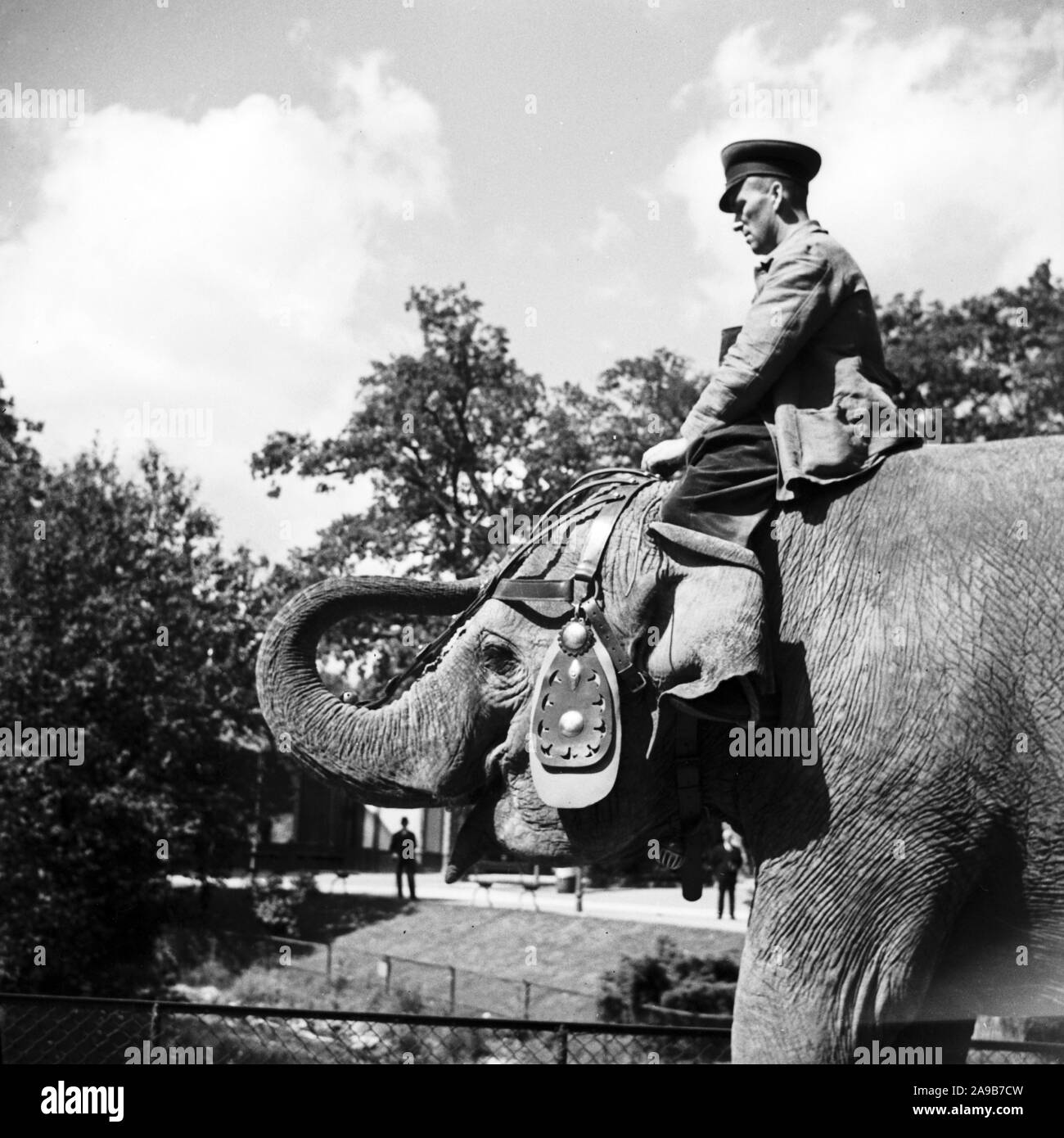 Animal zookeeper Black and White Stock Photos & Images - Alamy