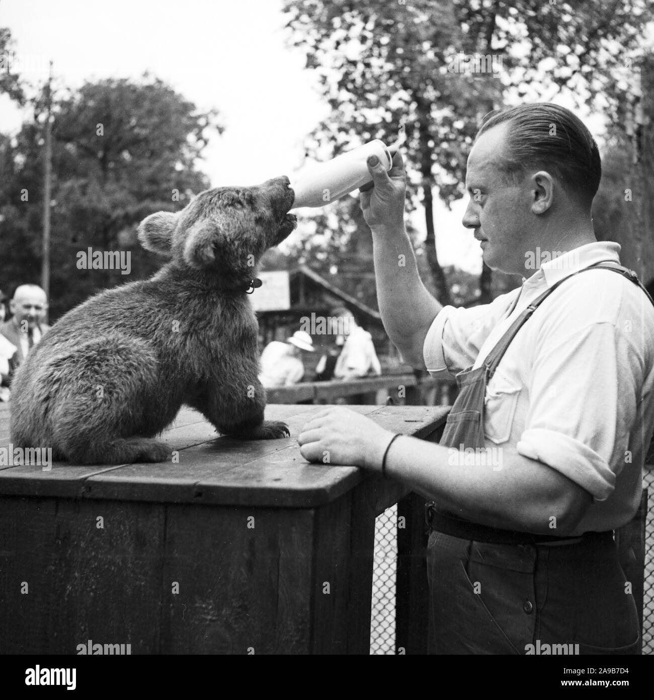Zookeeper feeding 1930s hi-res stock photography and images - Alamy