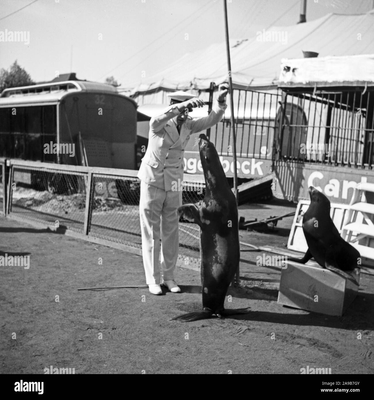 Zoo parks Black and White Stock Photos & Images - Alamy