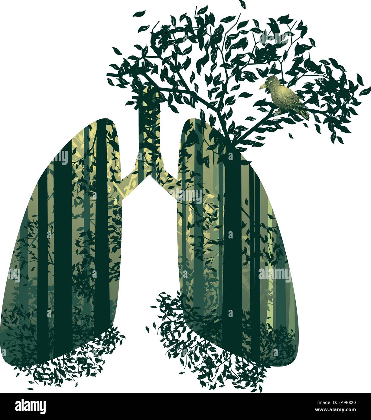 Human lungs with abstract forest inside illustration Stock Vector Image ...