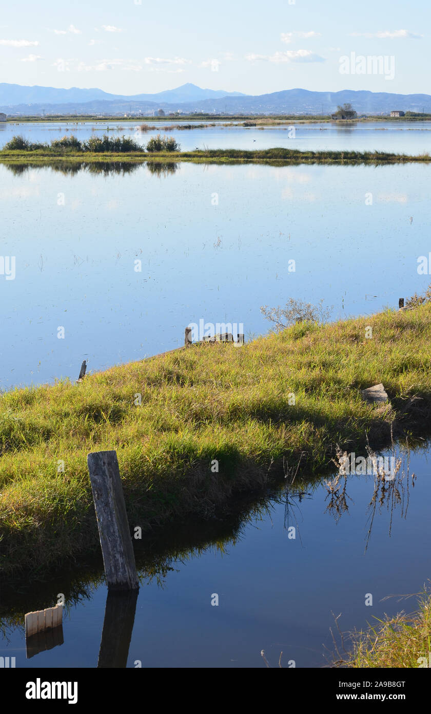 The Albufera natural park, a wetland of international importance in ...