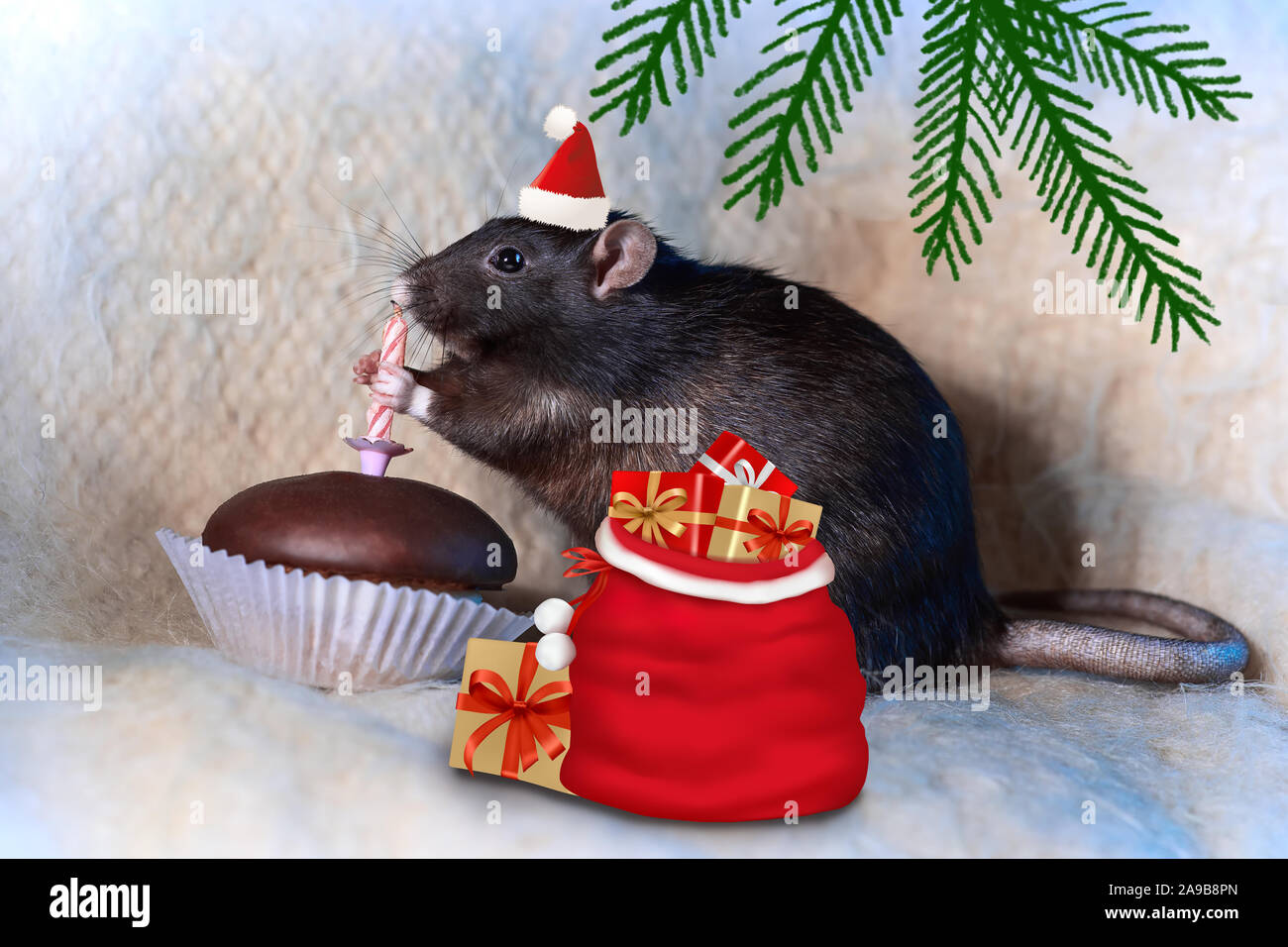 a black rat in a Santa hat and a bag of gifts eats a cake with a candle ...