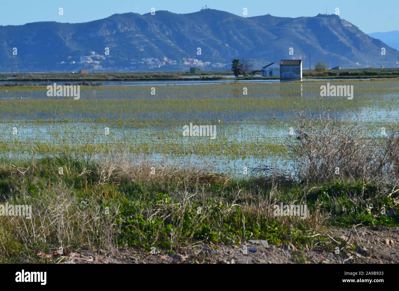 The Albufera natural park, a wetland of international importance in ...