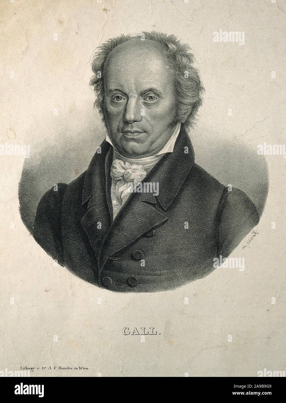 Beauty of gall face hi-res stock photography and images - Alamy