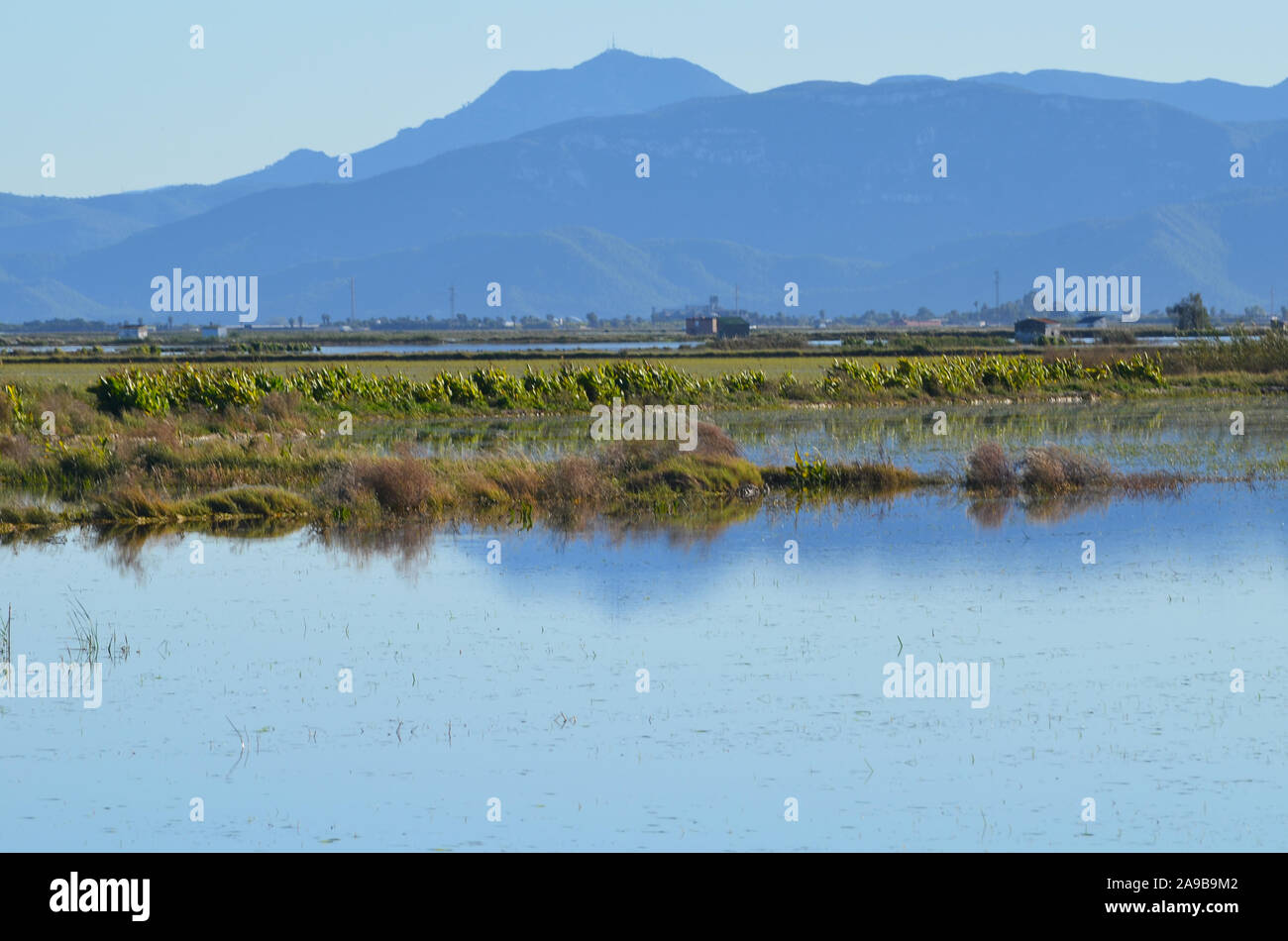 The Albufera natural park, a wetland of international importance in ...