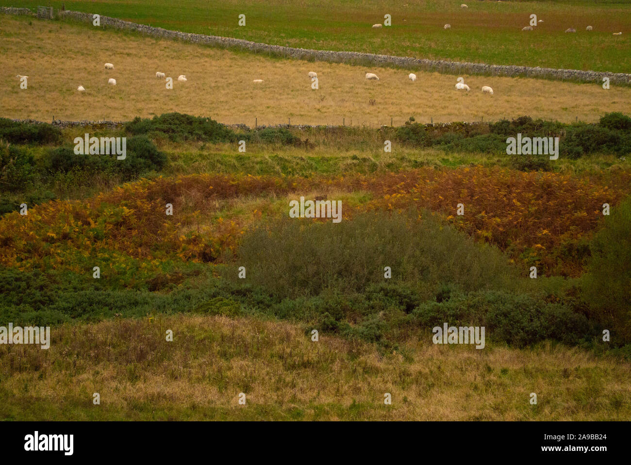 Coul Links Sutherland Scotland UK Stock Photo - Alamy