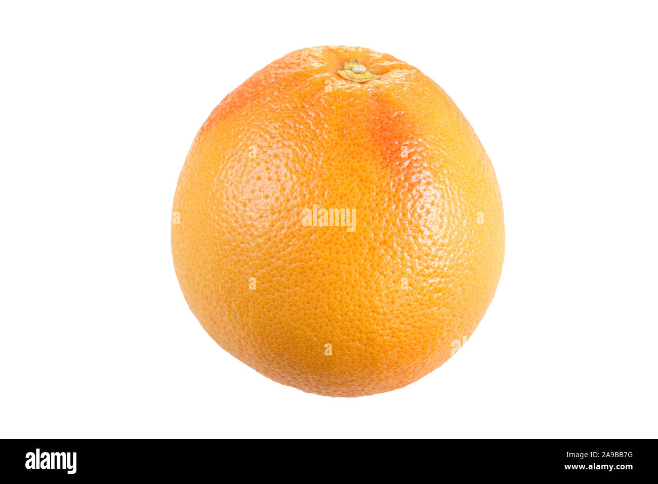 Close-up of a whole ripe pink grapefruit (Citrus paradisi), isolated on ...