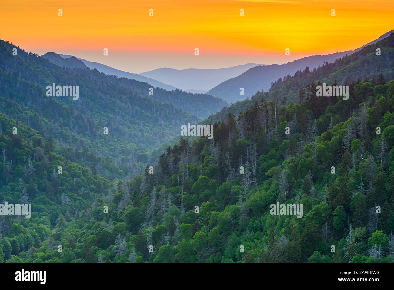 Newfound Gap Great Smoky Mountains National Park View From Newfound