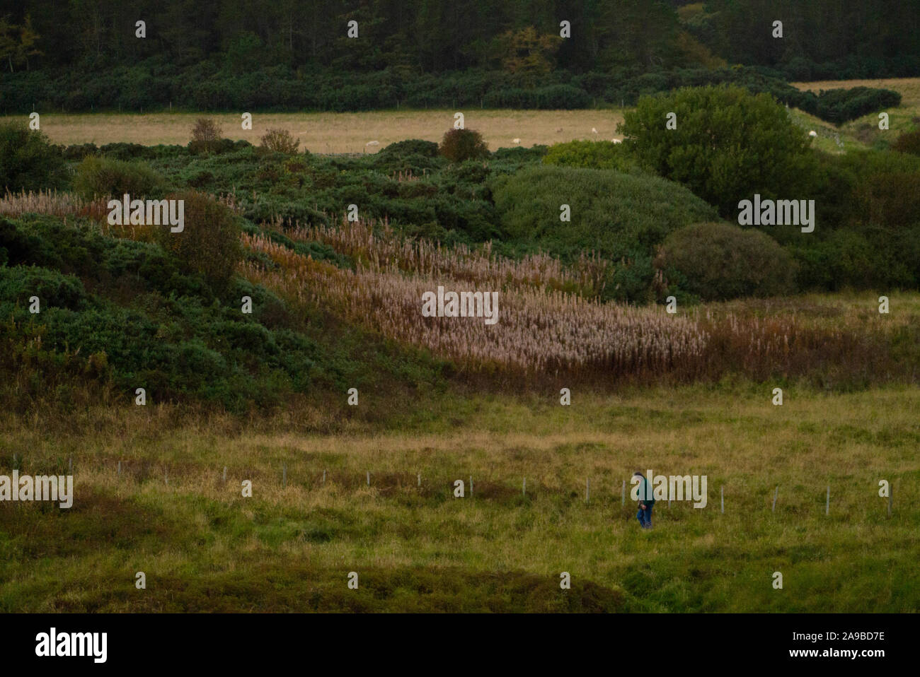 Coul Links Sutherland Scotland UK Stock Photo - Alamy