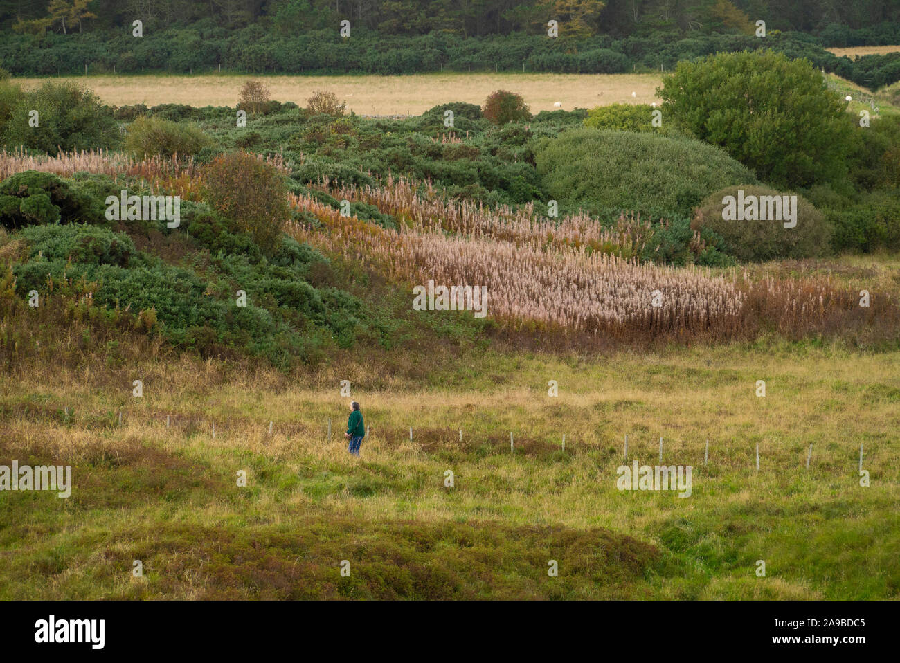Highlands links golf course hi-res stock photography and images - Alamy