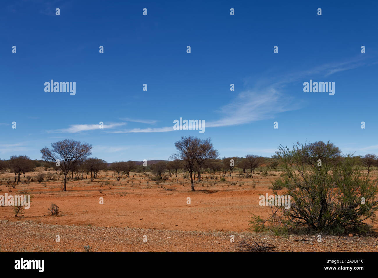 Driving through the Outback in an offroad vehicle Stock Photo - Alamy
