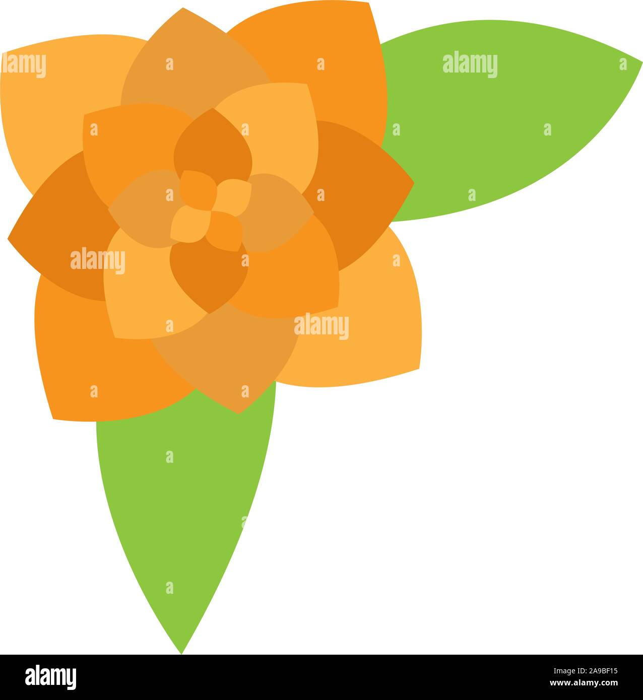 Isolated orange rose image. Beautiful flower - Vector illustration ...
