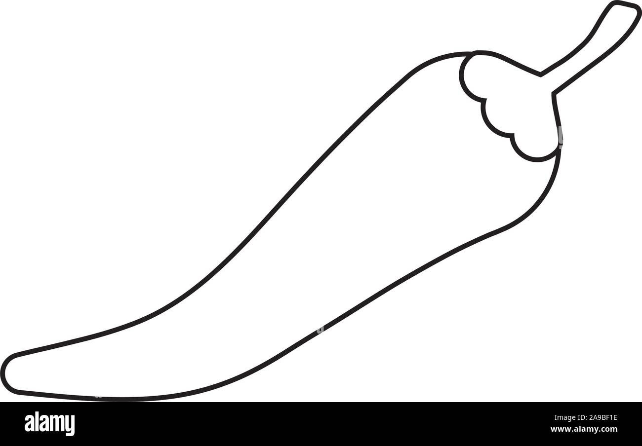 peppers mexican in white background vector illustration design Stock ...