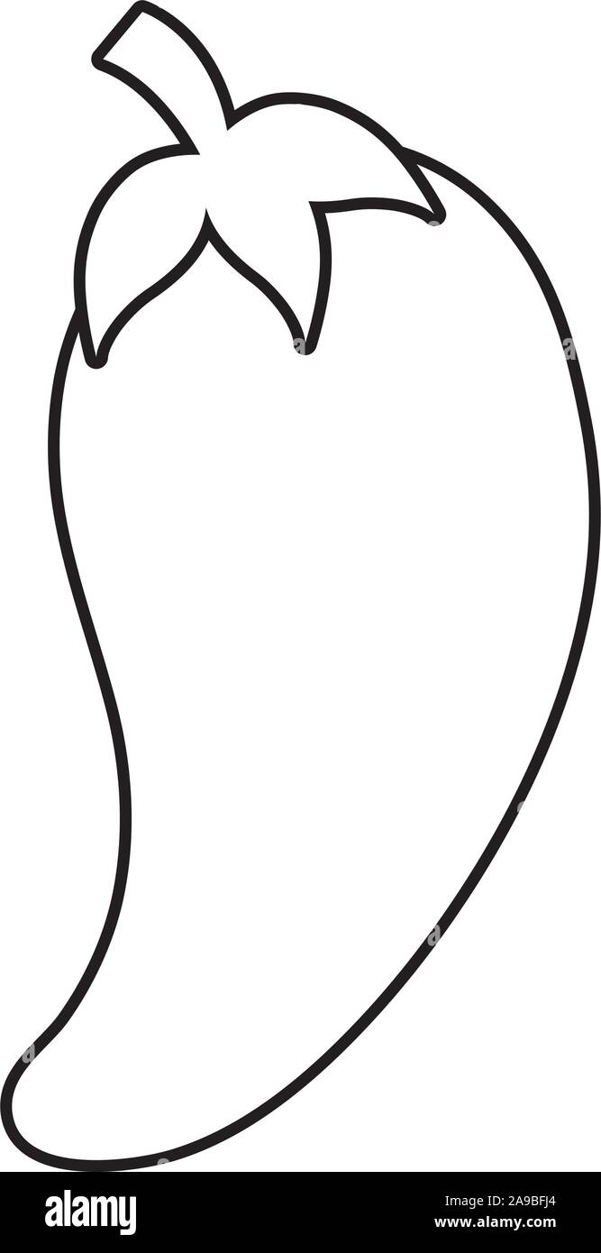 peppers mexican in white background vector illustration design Stock ...