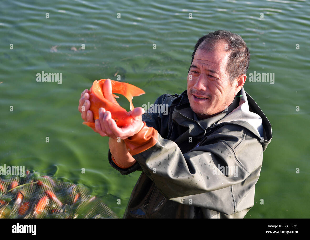 Nanyang, China's Henan Province. 14th Nov, 2019. A staff from a local ...