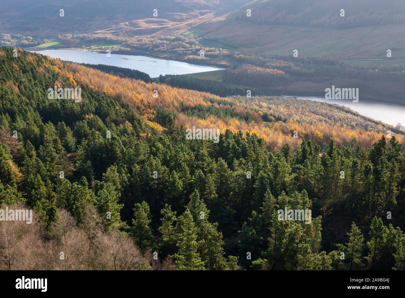 Forest beside the Woodhead reservoirs, Longdendale Valley, Derbyshire ...