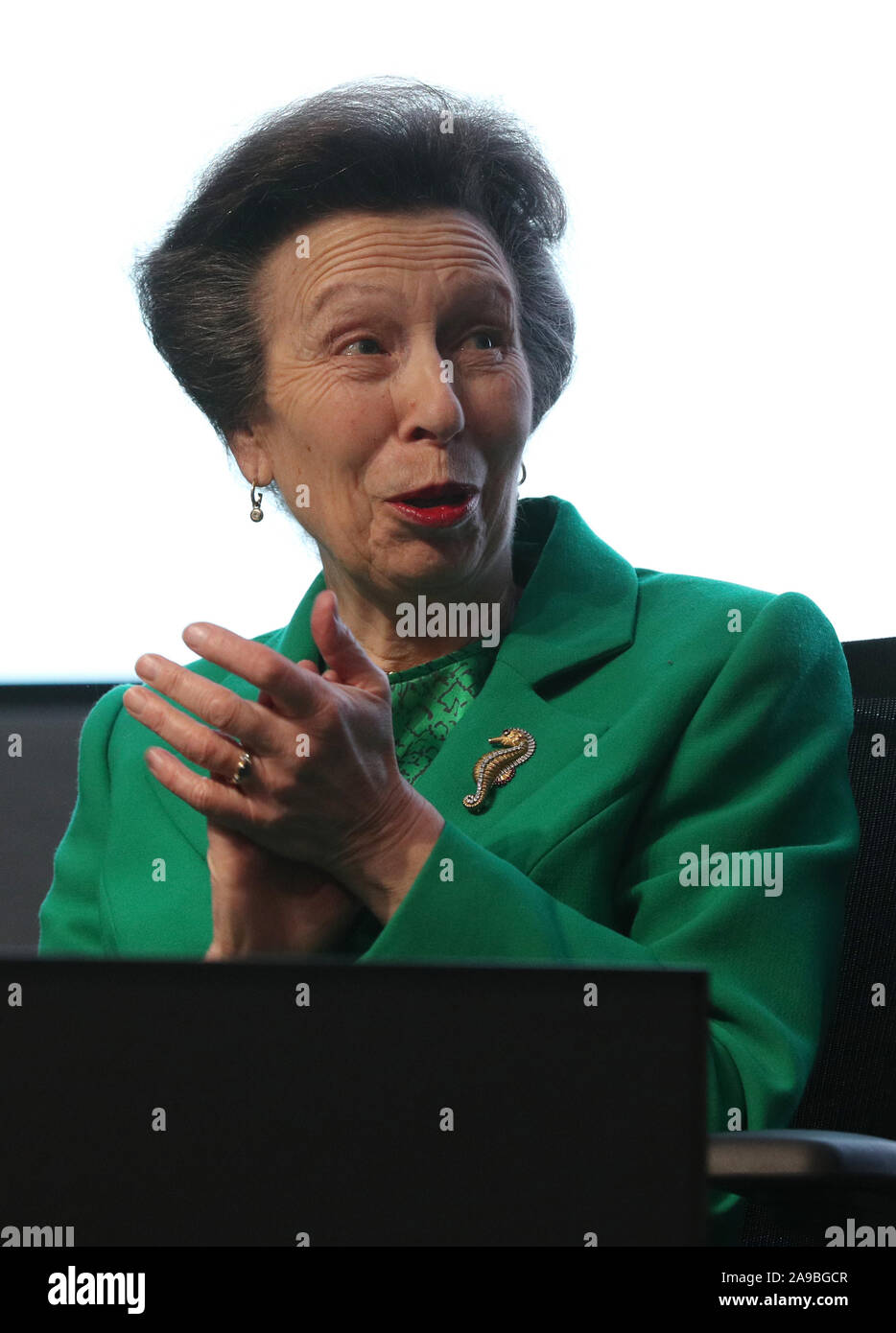 The Princess Royal attends the Royal National Children's Springboard ...