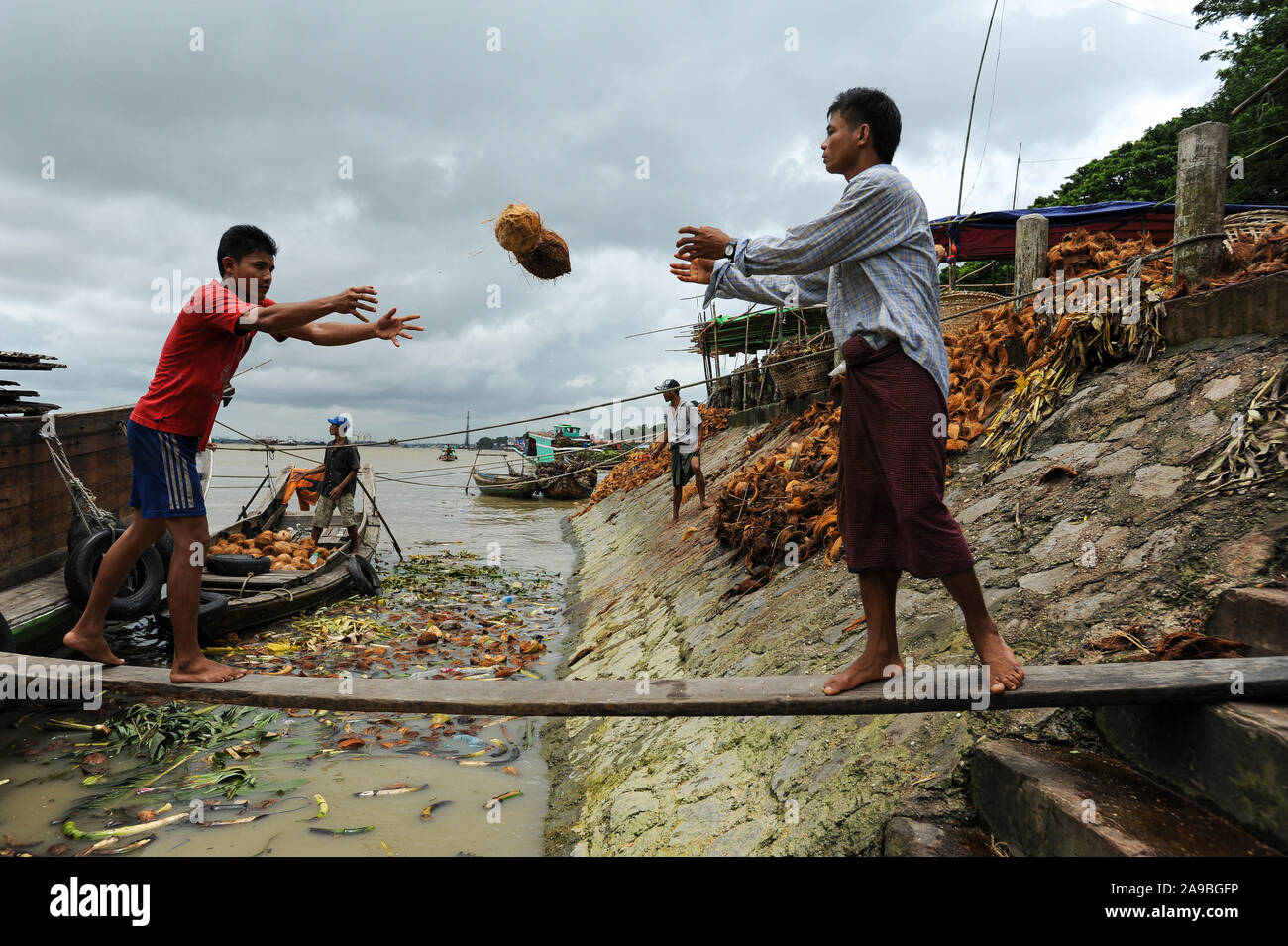 Throwing coconuts hi-res stock photography and images - Alamy