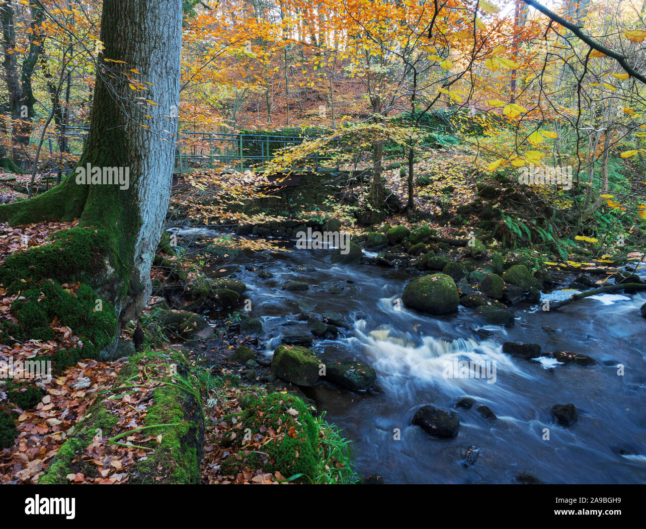 Falling fosse hi-res stock photography and images - Alamy