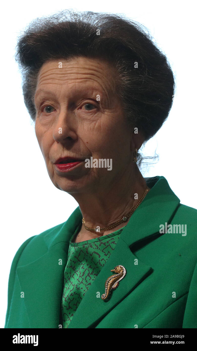 The Princess Royal attends the Royal National Children's Springboard ...